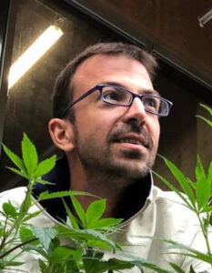 Mike Toniolo - roundtable - Hanf Magazin